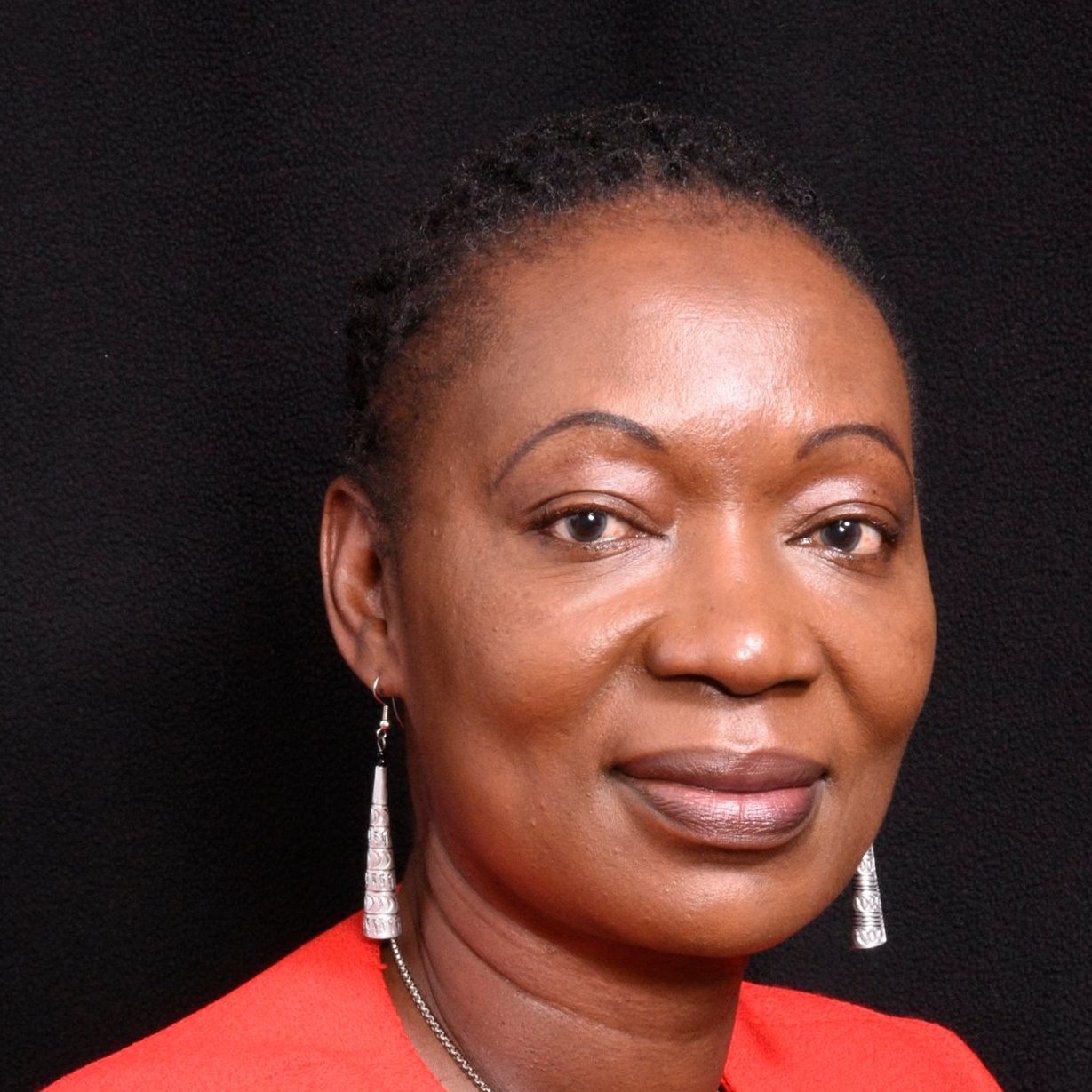 In Fragmented Lives, Imali J. Abala captivates readers with challenges ...